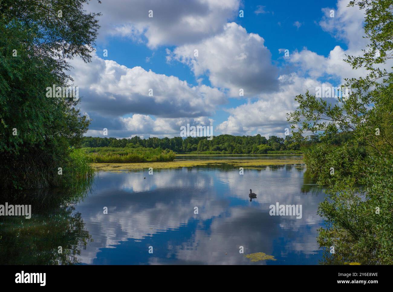 Fleet Pond Hampshire , England Stock Photo - Alamy