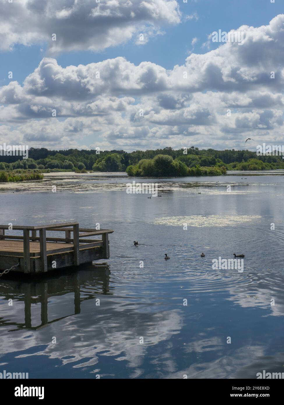 Fleet Pond Hampshire , England. Fleet Pond is the largest freshwater ...