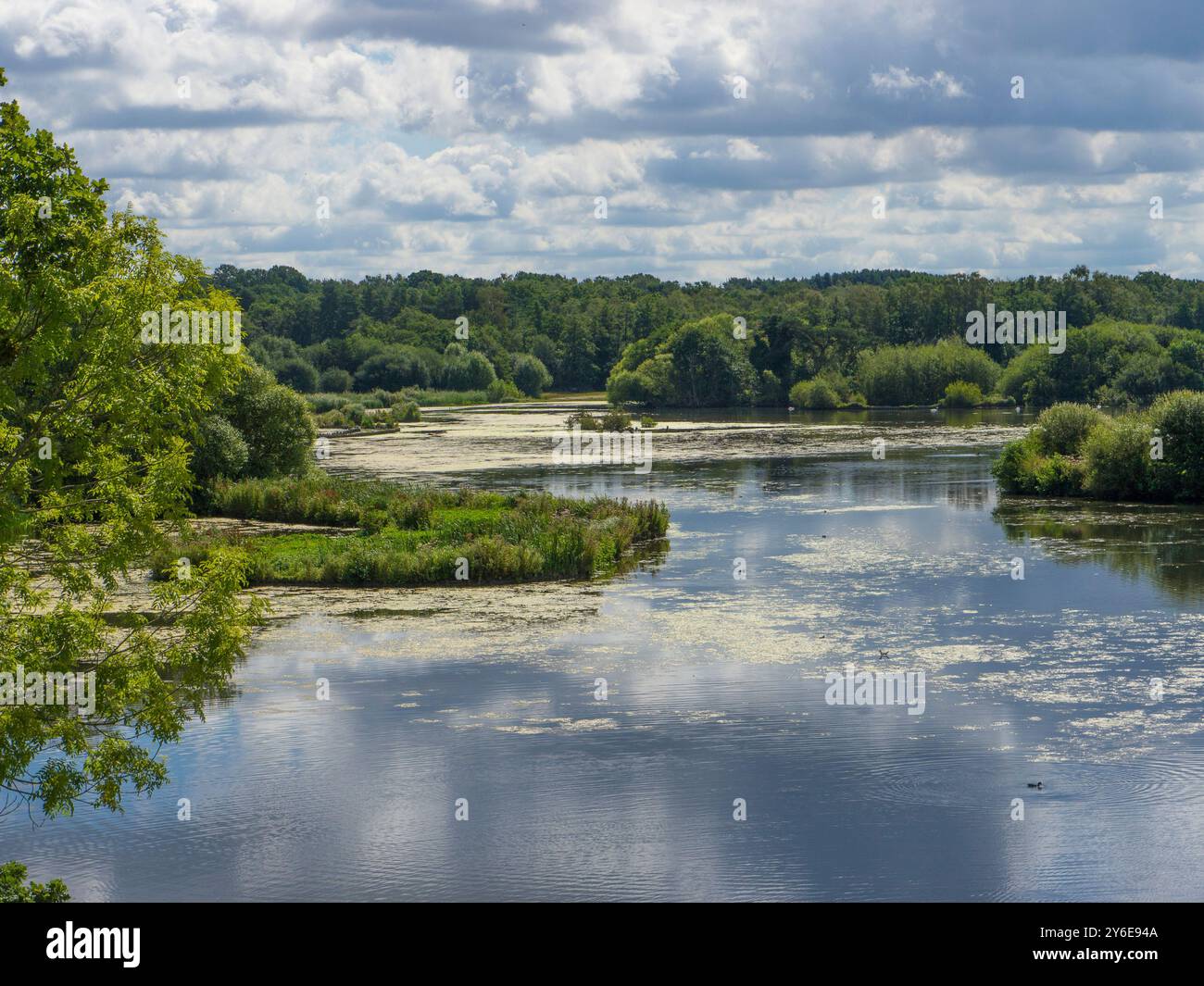 Fleet Pond Hampshire , England. Fleet Pond is the largest freshwater ...