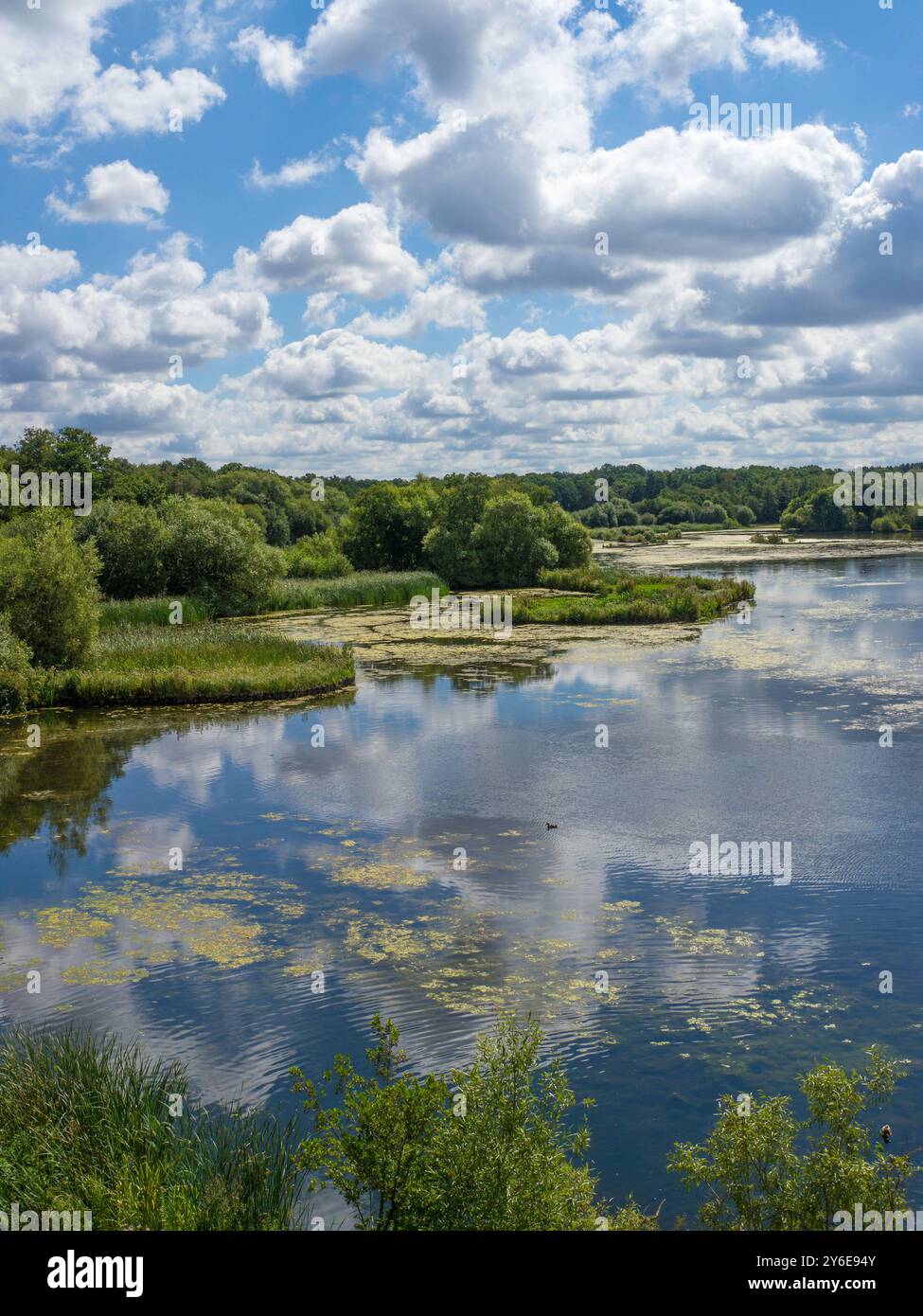Fleet Pond Hampshire , England Stock Photo - Alamy