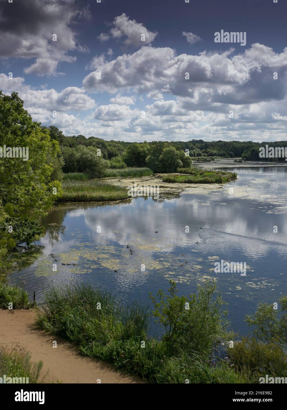 Fleet Pond Hampshire , England Stock Photo - Alamy