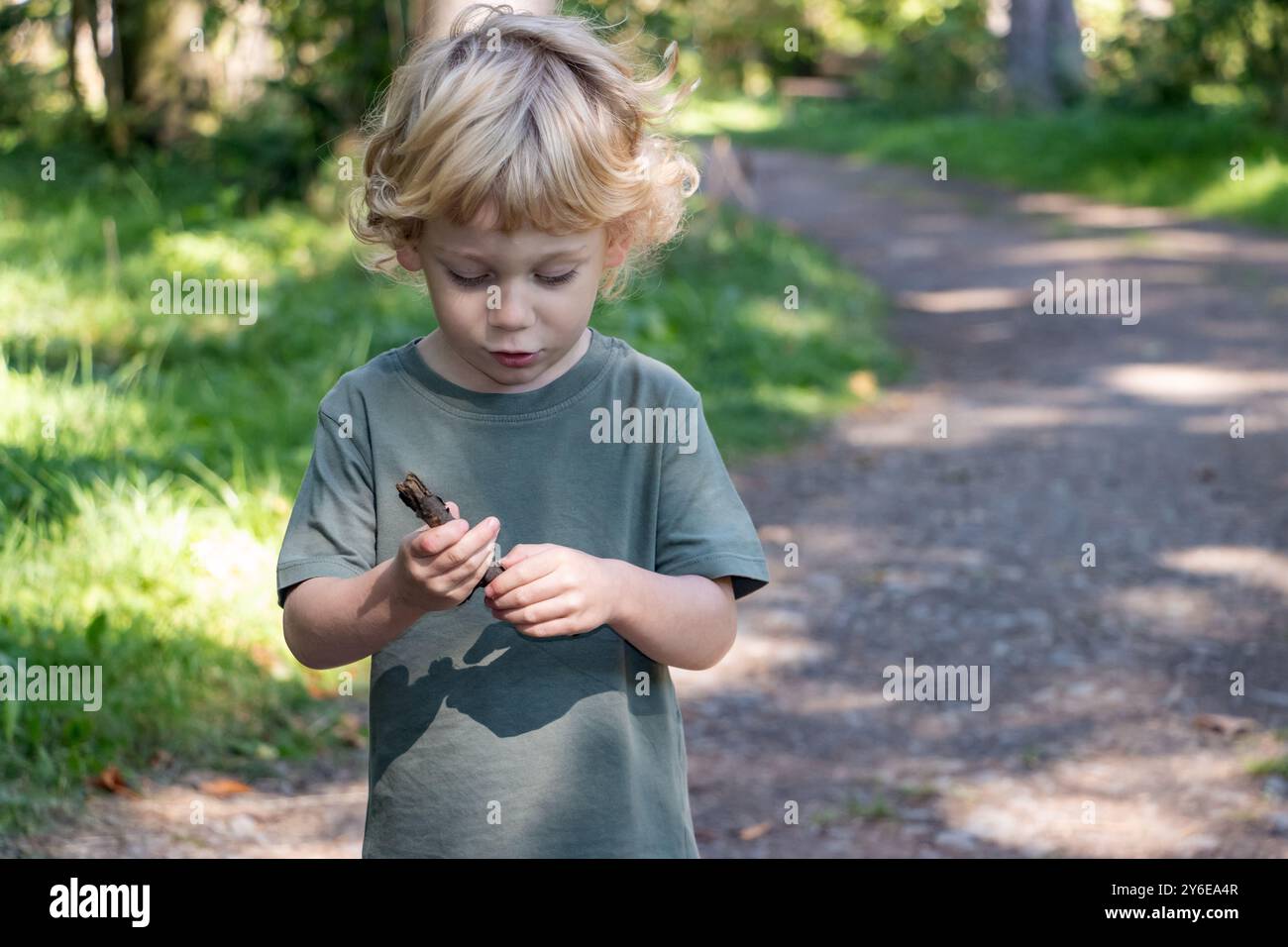 A little boy explores nature on a forest path Stock Photo - Alamy