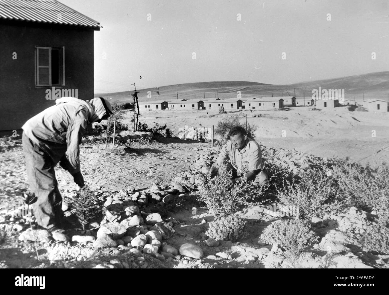DESERT TOWN NEW TOWN IN DESERT ARAD, ISRAEL ; 30 NOVEMBER 1962 Stock ...