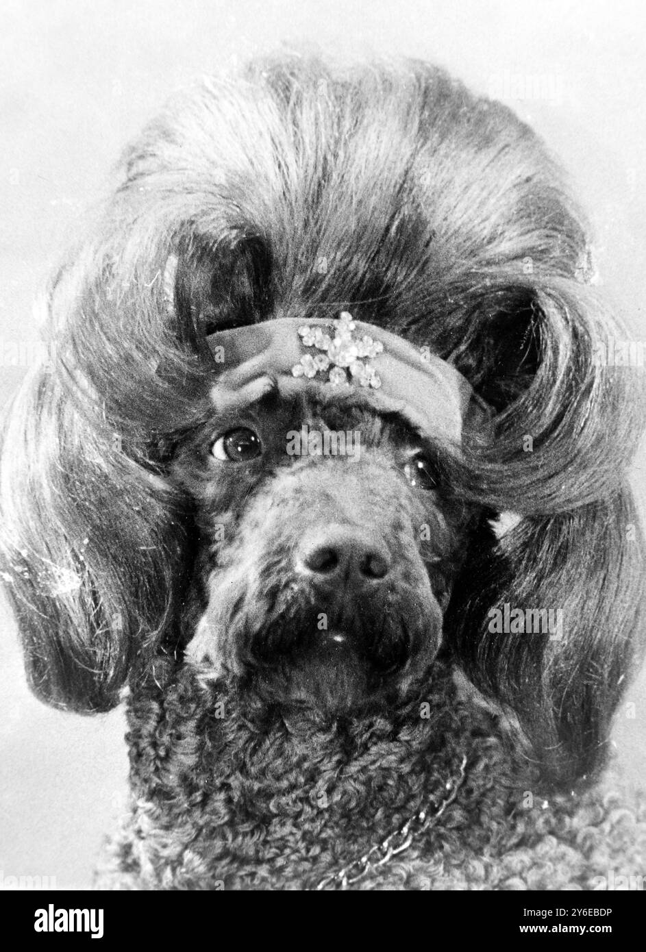 White wigs Black and White Stock Photos & Images - Alamy