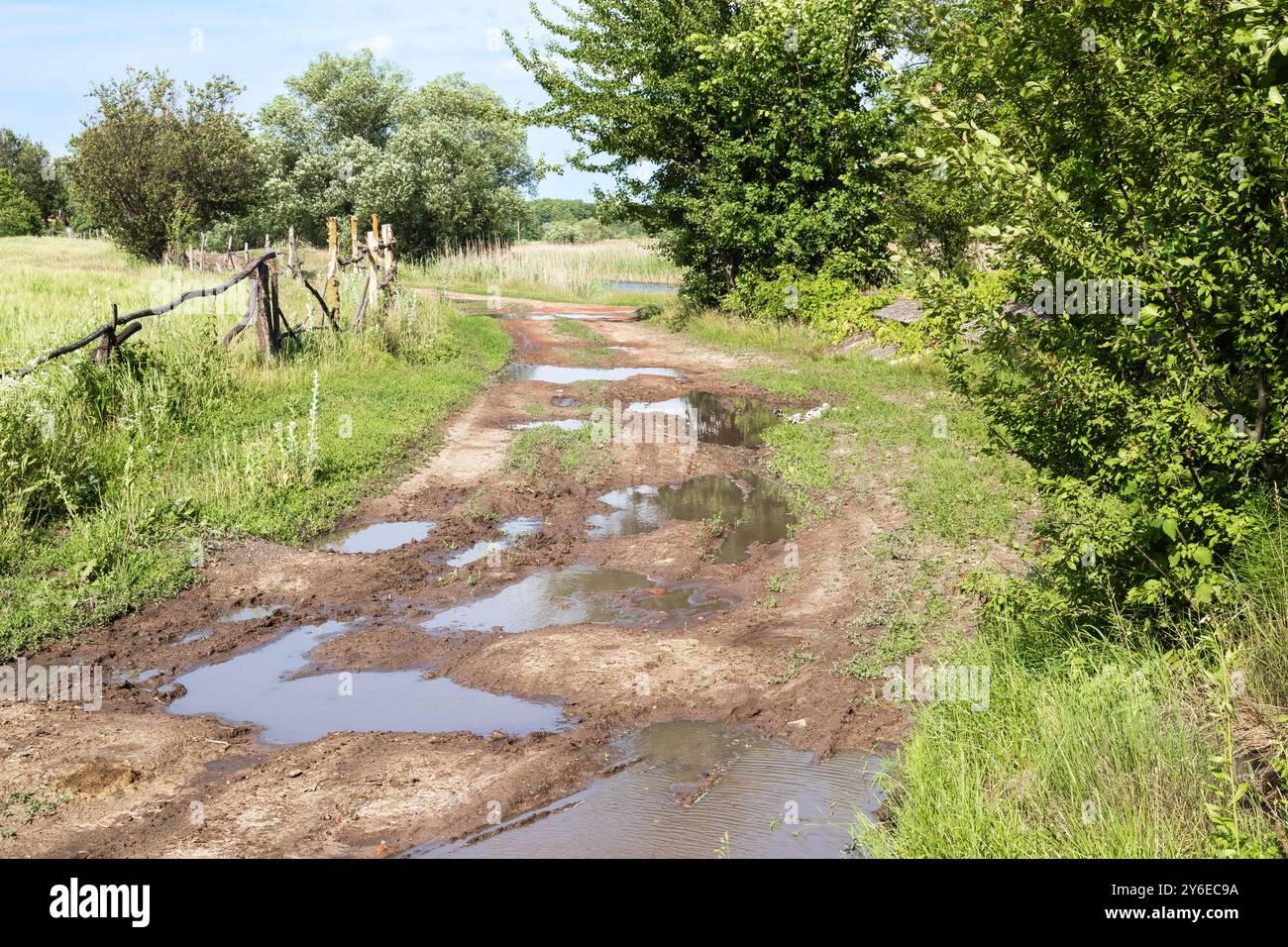 Dirt road with puddles hi-res stock photography and images - Alamy
