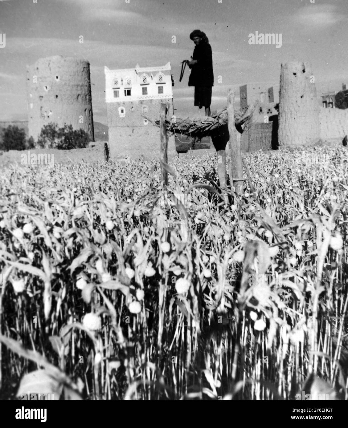 29 october 1962 Black and White Stock Photos & Images - Alamy