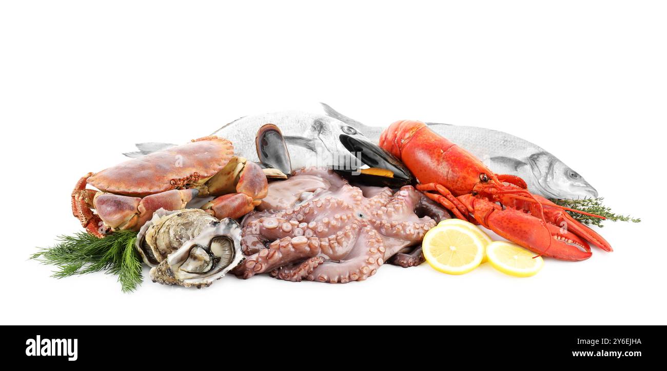 Fresh raw octopus and different sea food isolated on white Stock Photo ...