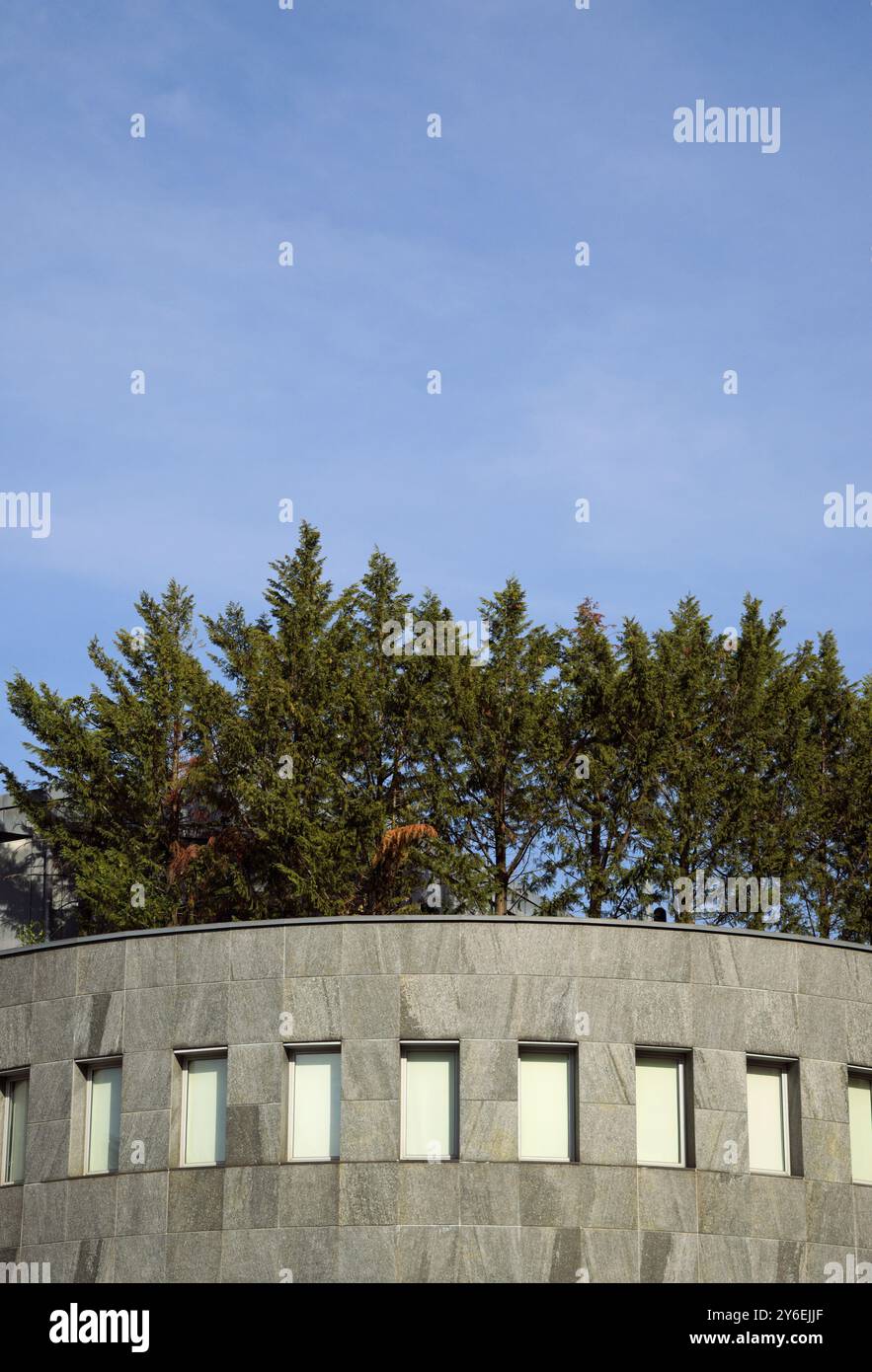 Trees growing on top hi-res stock photography and images - Alamy