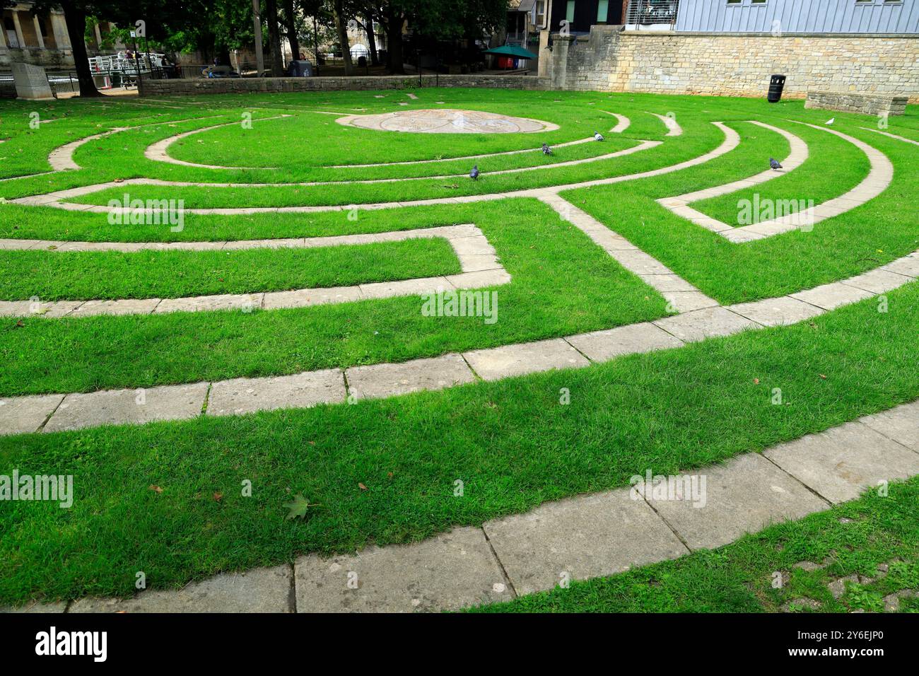 Beazer Garden Maze, Pulteney Bridge, Bath, Somerset Stock Photo - Alamy