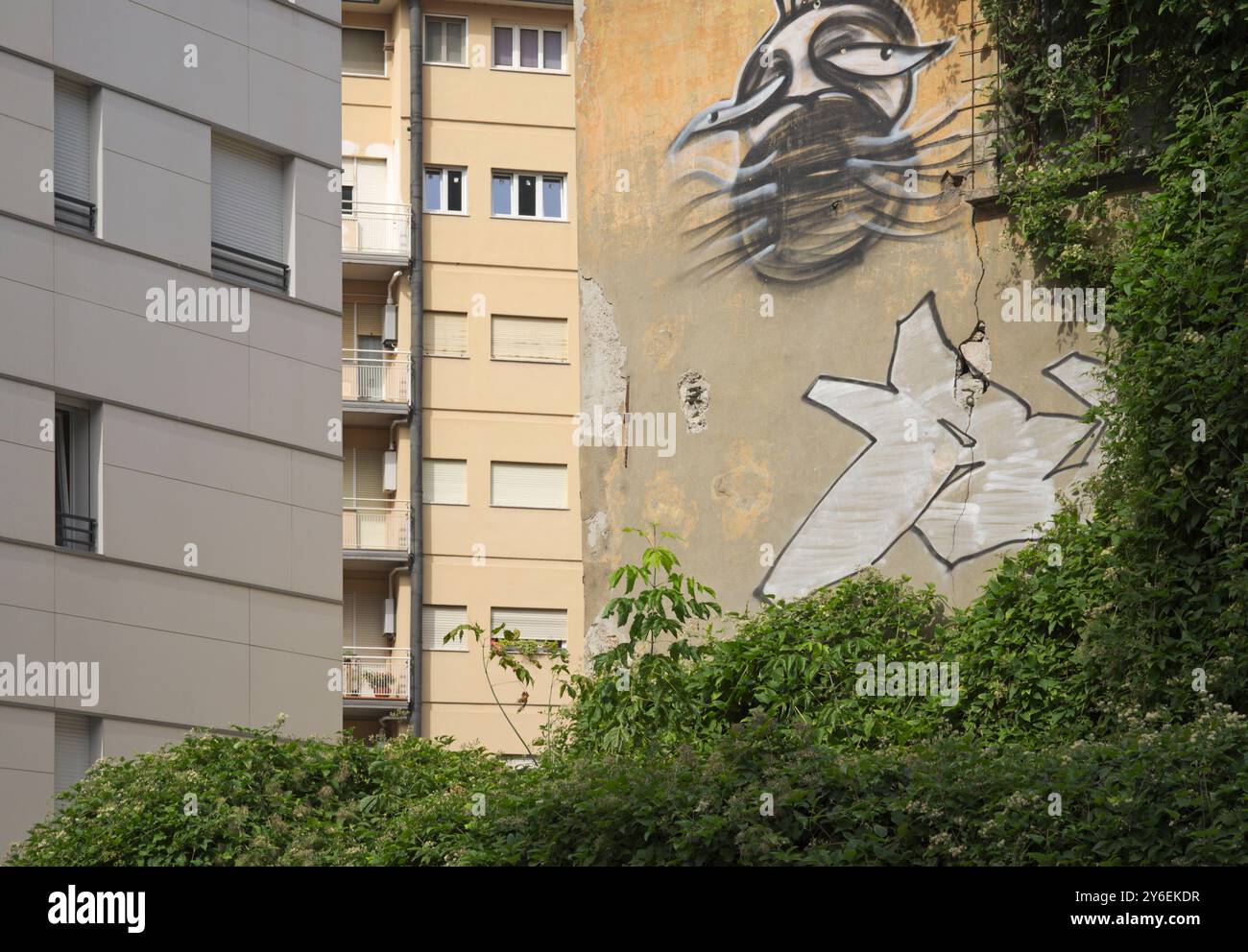 old building with graffiti and creeping vegetation beside new buildings ...