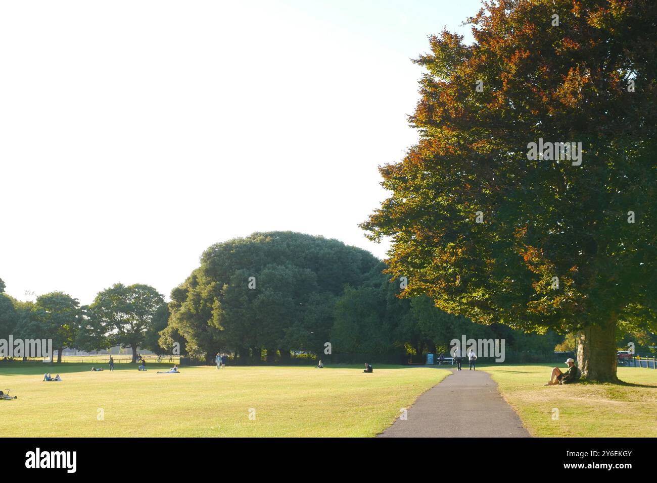 The Phoenix park in Dublin Ireland with the last of the summer light ...