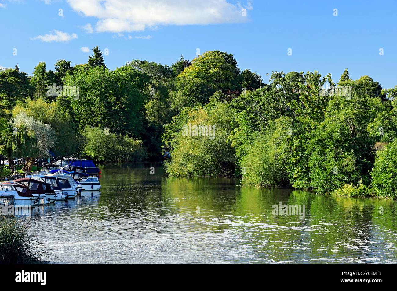 River Avon, Saltford Weir, Saltford near Bath, Somerset Stock Photo - Alamy