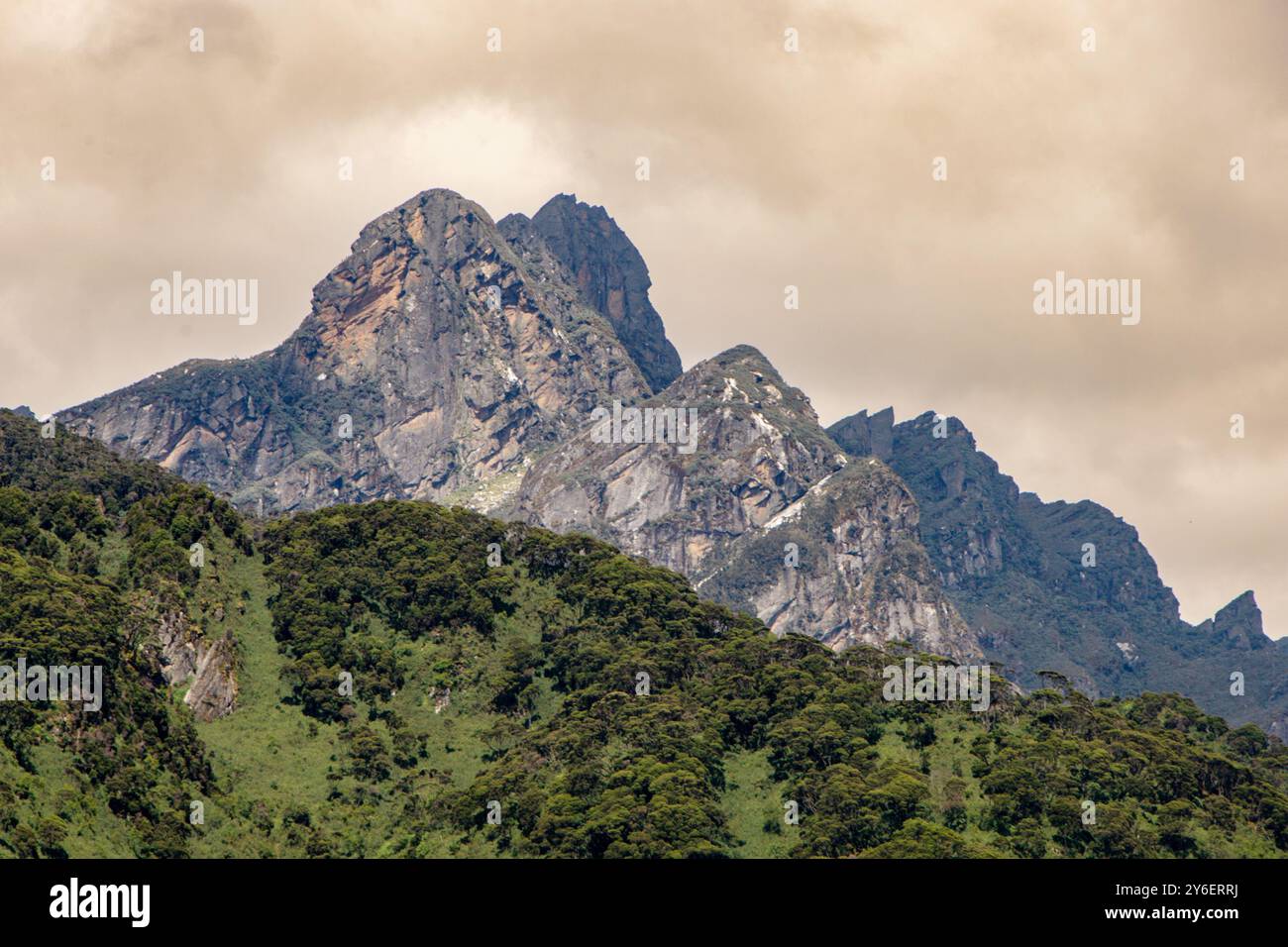 Rwenzori mountains hi-res stock photography and images - Alamy
