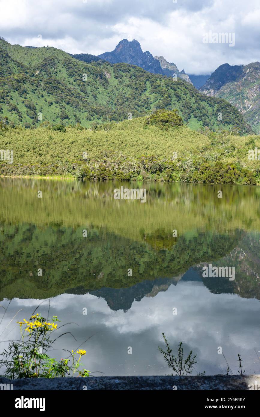 Rwenzori mountains hi-res stock photography and images - Alamy