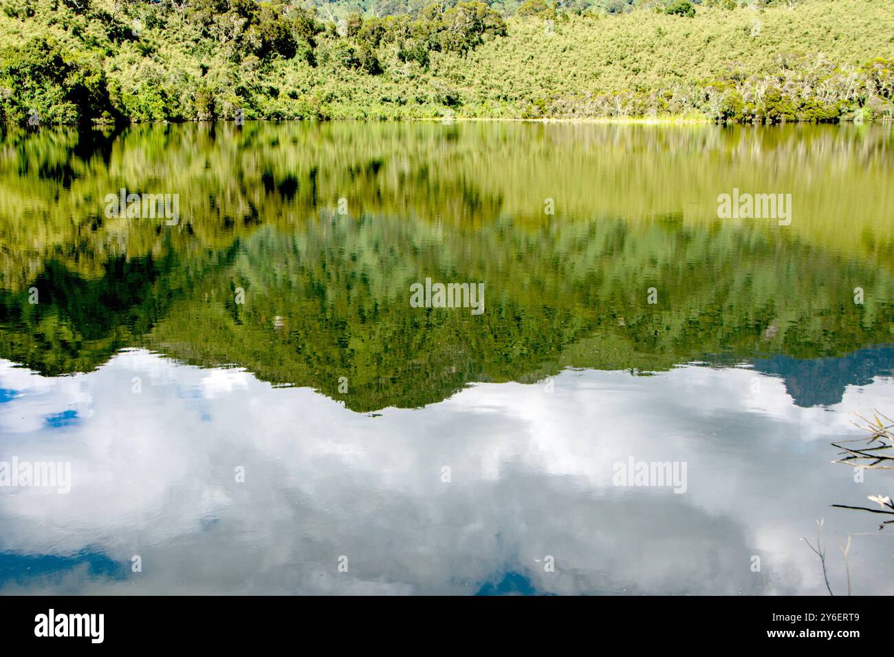 Rwenzori mountains hi-res stock photography and images - Alamy