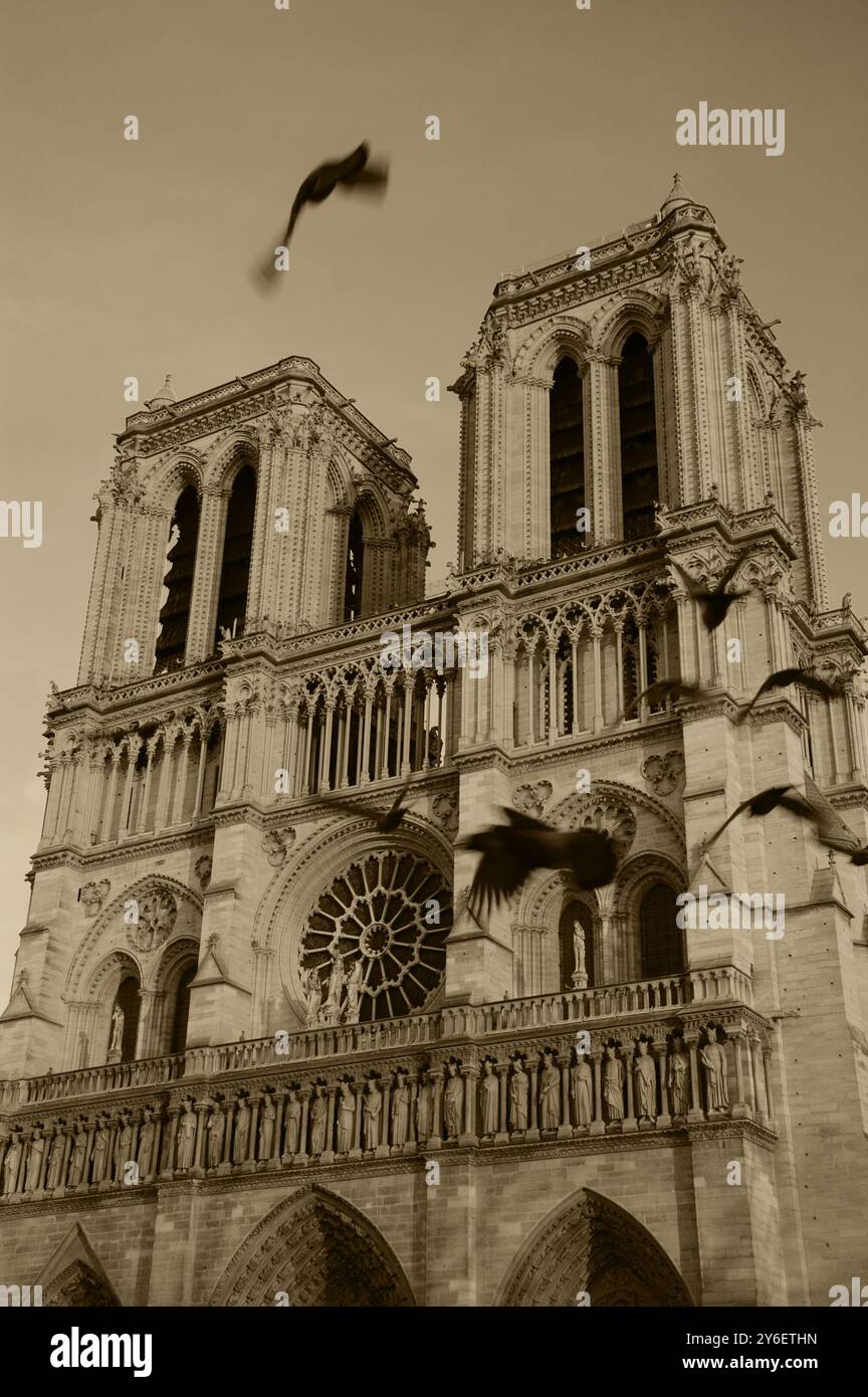 Birds are flying around the iconic towers of the Notre-Dame Cathedral ...