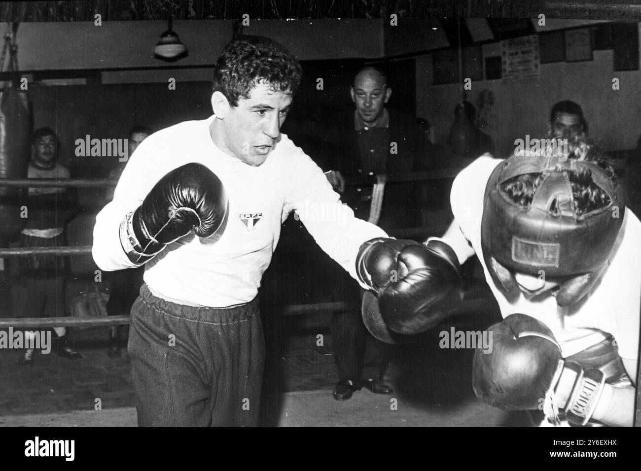 Brazilian boxer hi-res stock photography and images - Alamy
