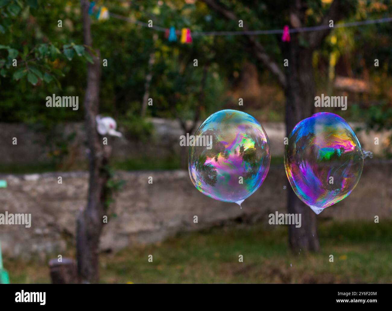 The two colorful soap bubbles floating in a garden with trees and a ...