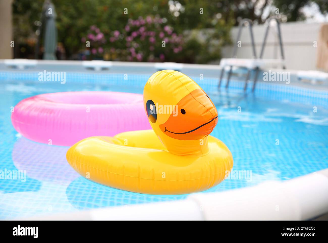 Inflatable rings floating on water in above ground swimming pool ...