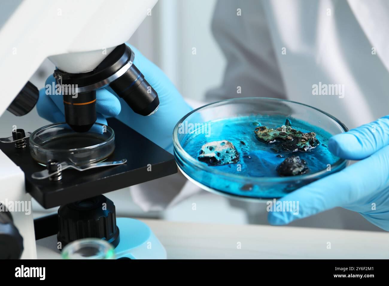 Laboratory worker holding petri dish with sample near microscope at ...