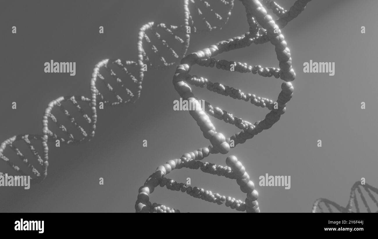 DNA model double helix deoxyribonucleic acid 3d illustration Stock ...