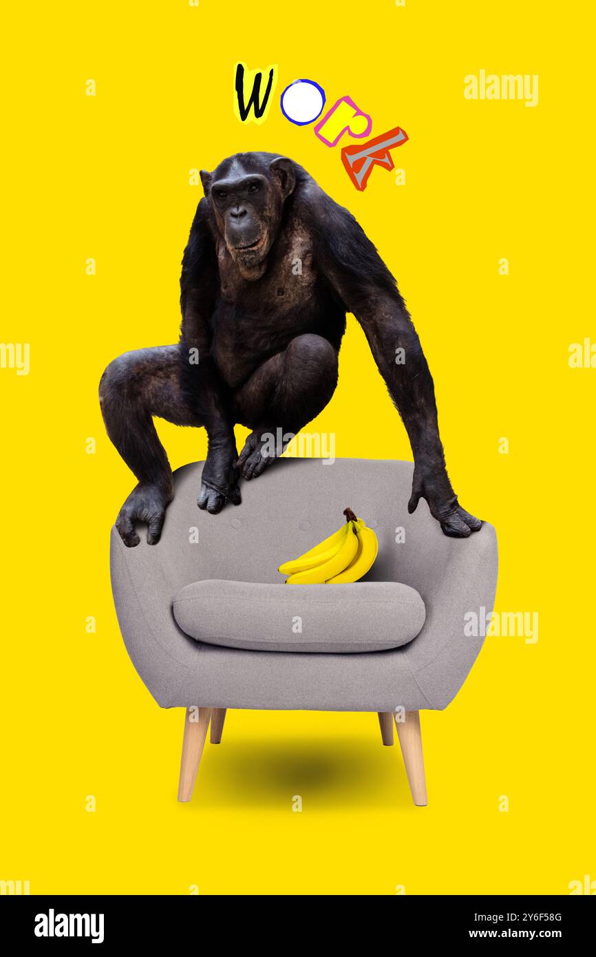 Vertical composite artwork collage image picture of chimp sit chair ...