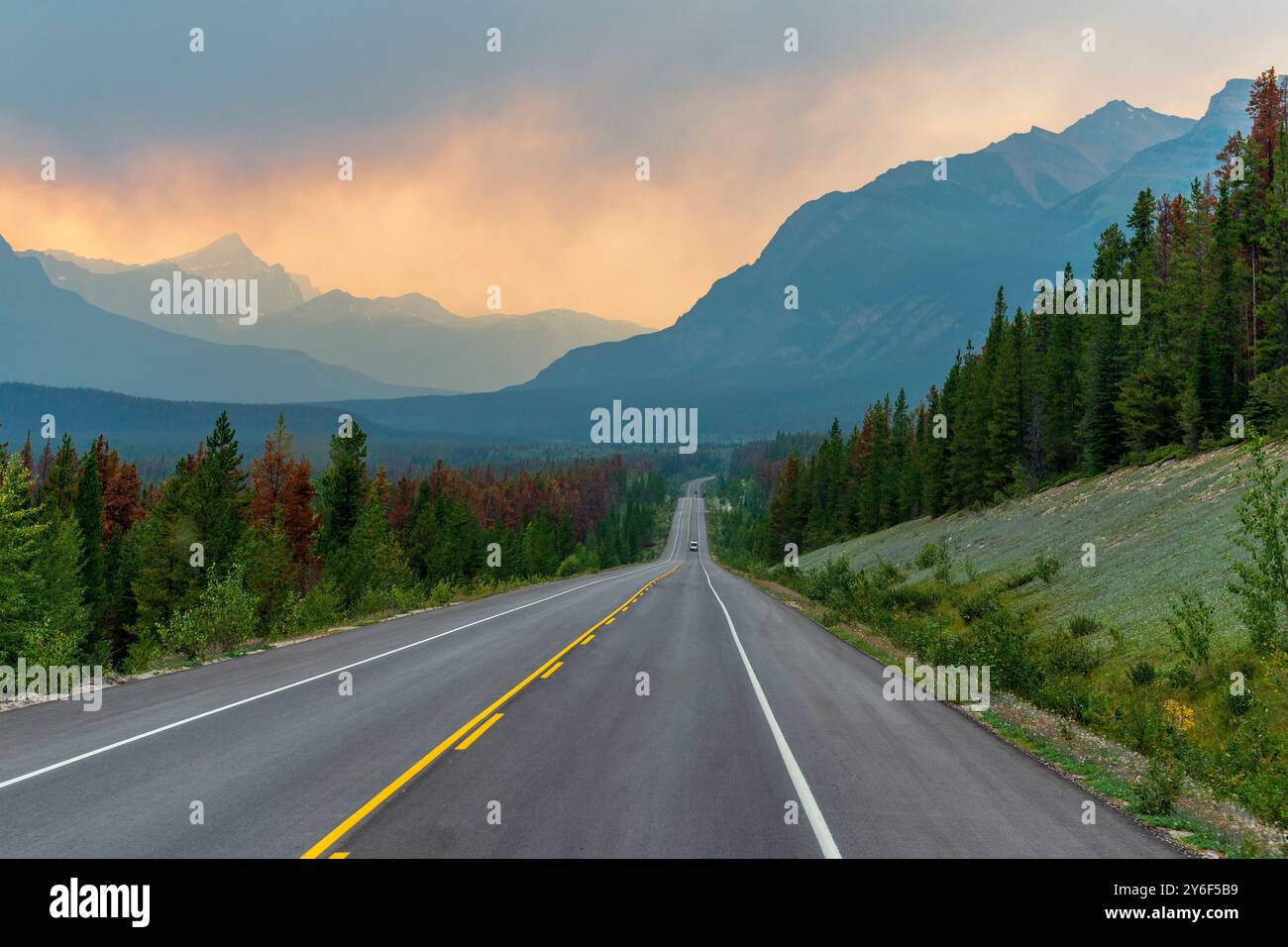 Forest fire highway at sunset, Jasper national park, Canada Stock Photo ...