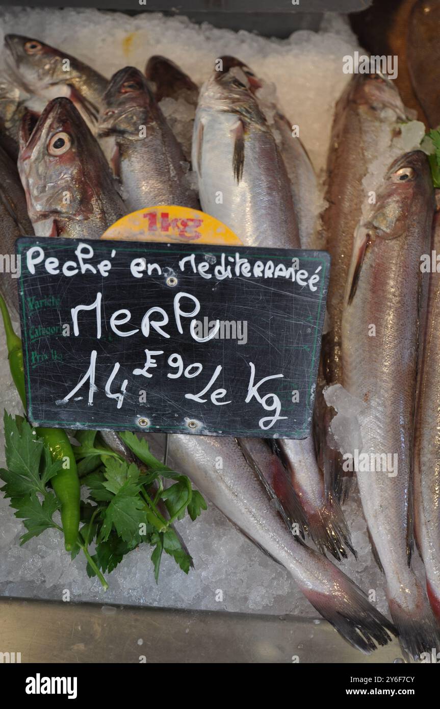 Hake fish at the fishmonger Stock Photo - Alamy