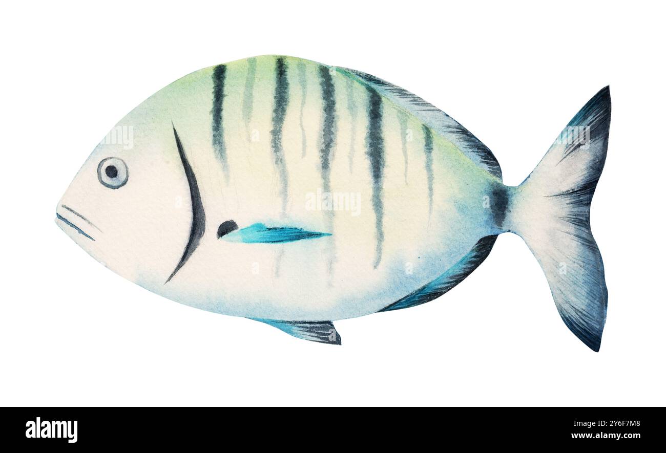 Silvery fish painting hi-res stock photography and images - Alamy