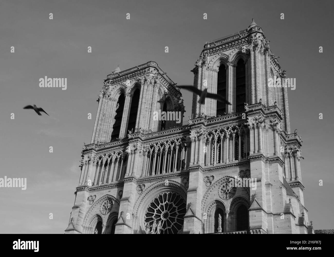 Birds are flying around the iconic towers of the Notre-Dame Cathedral ...