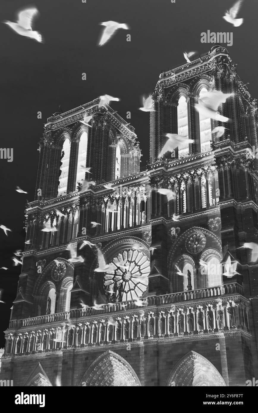 Birds flying around towers of Notre-Dame Cathedral. Paris, France. Before a fire. Soul metaphor ...