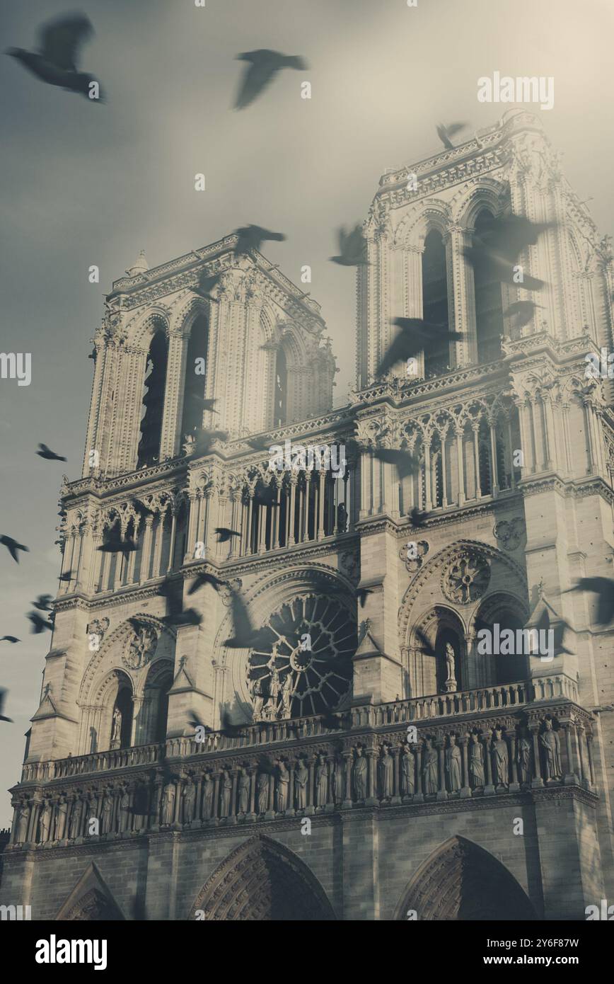 Black birds are flying around iconic towers of the Notre-Dame Cathedral ...