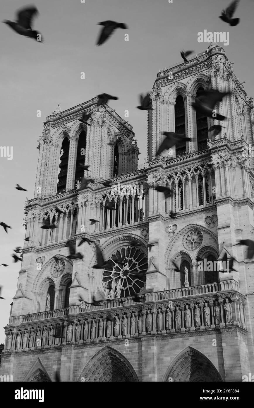 Prophecy in art Black and White Stock Photos & Images - Alamy