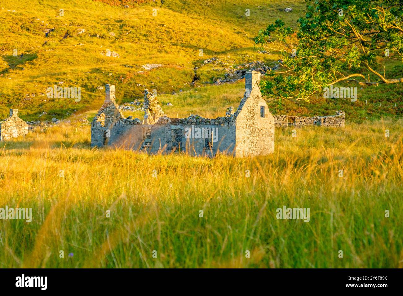 Croft scotland hi-res stock photography and images - Alamy
