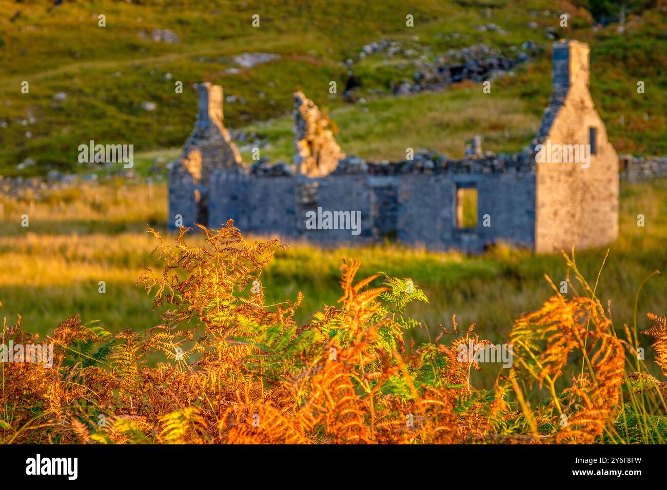 Croft scotland hi-res stock photography and images - Alamy