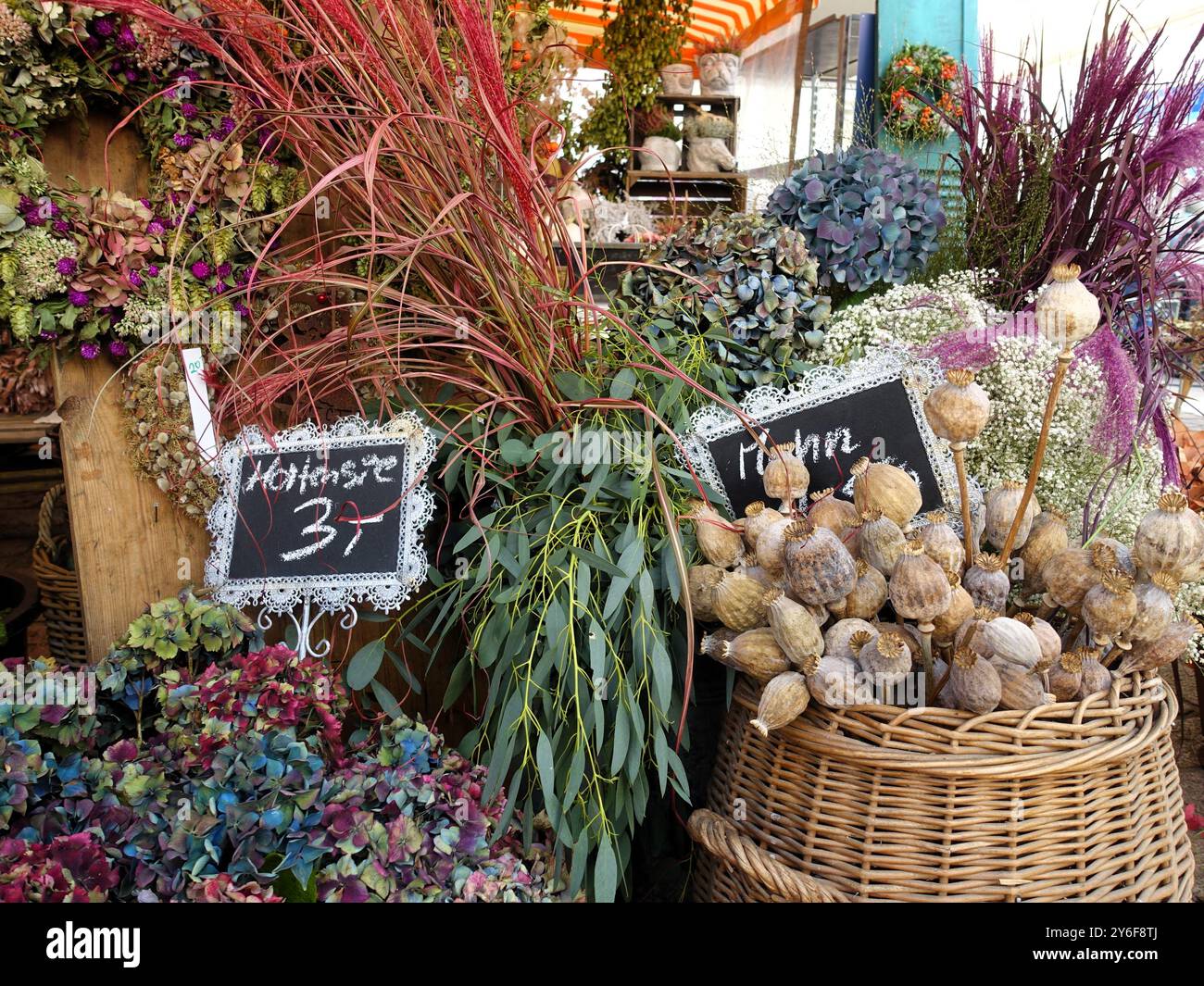 Colorful dried flowers and plants on display at a market stall ...
