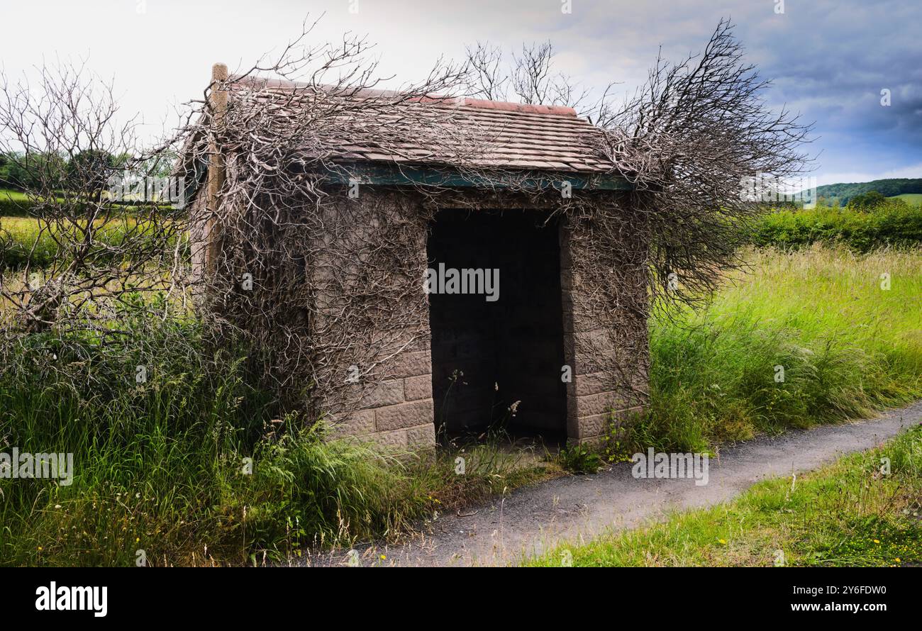 Witches lair hi-res stock photography and images - Alamy
