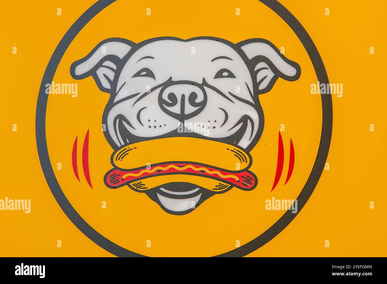 Xl bully dog hi-res stock photography and images - Alamy