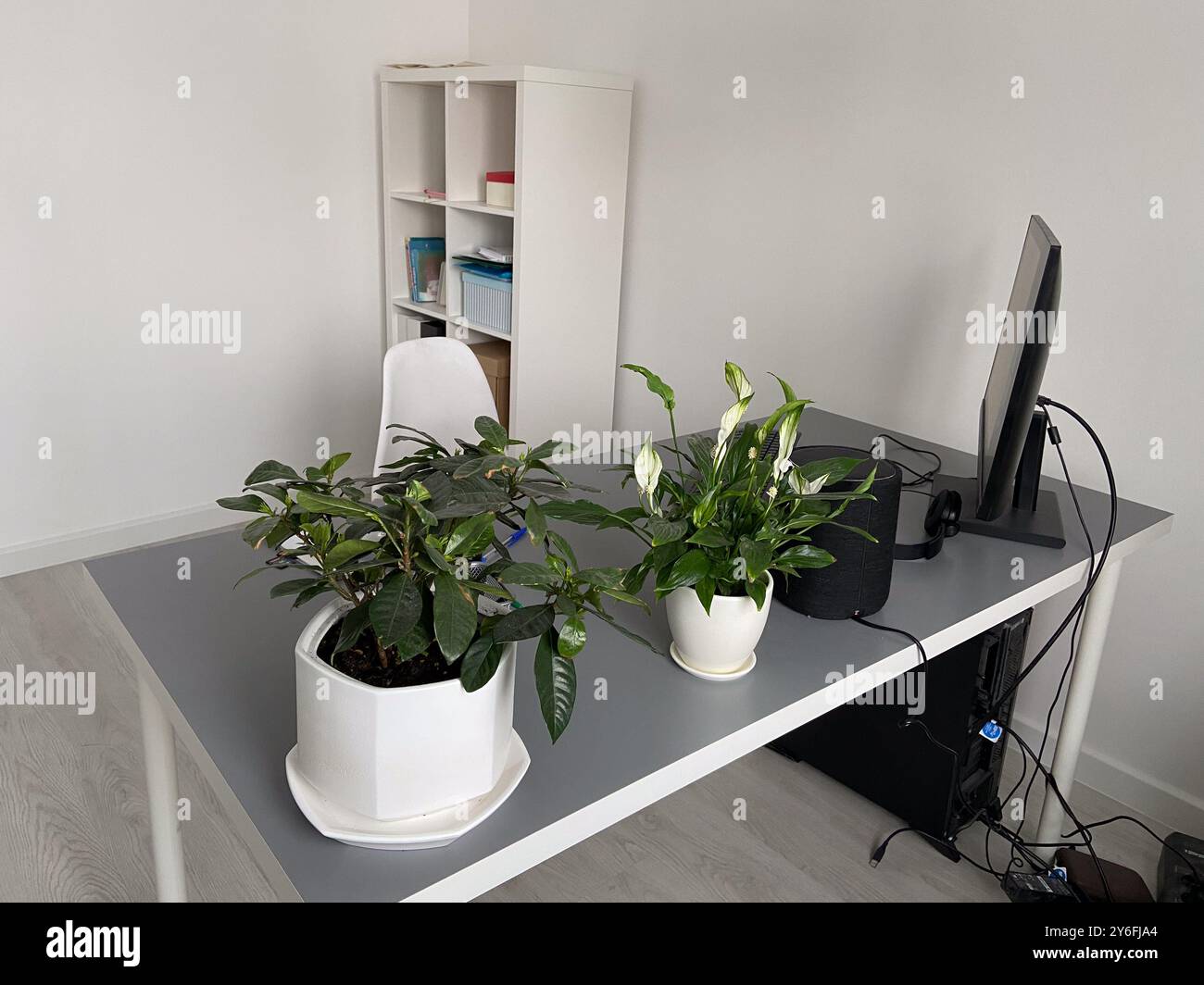 Minimalistic office desk with plants, a computer and chair. Clean and ...