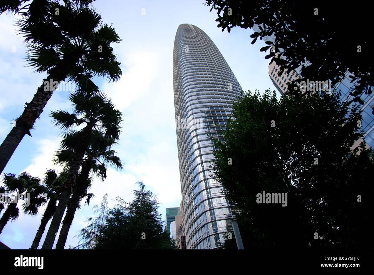 San Francisco, CA, USA - 16 September 2024 - The Salesforce Tower ...