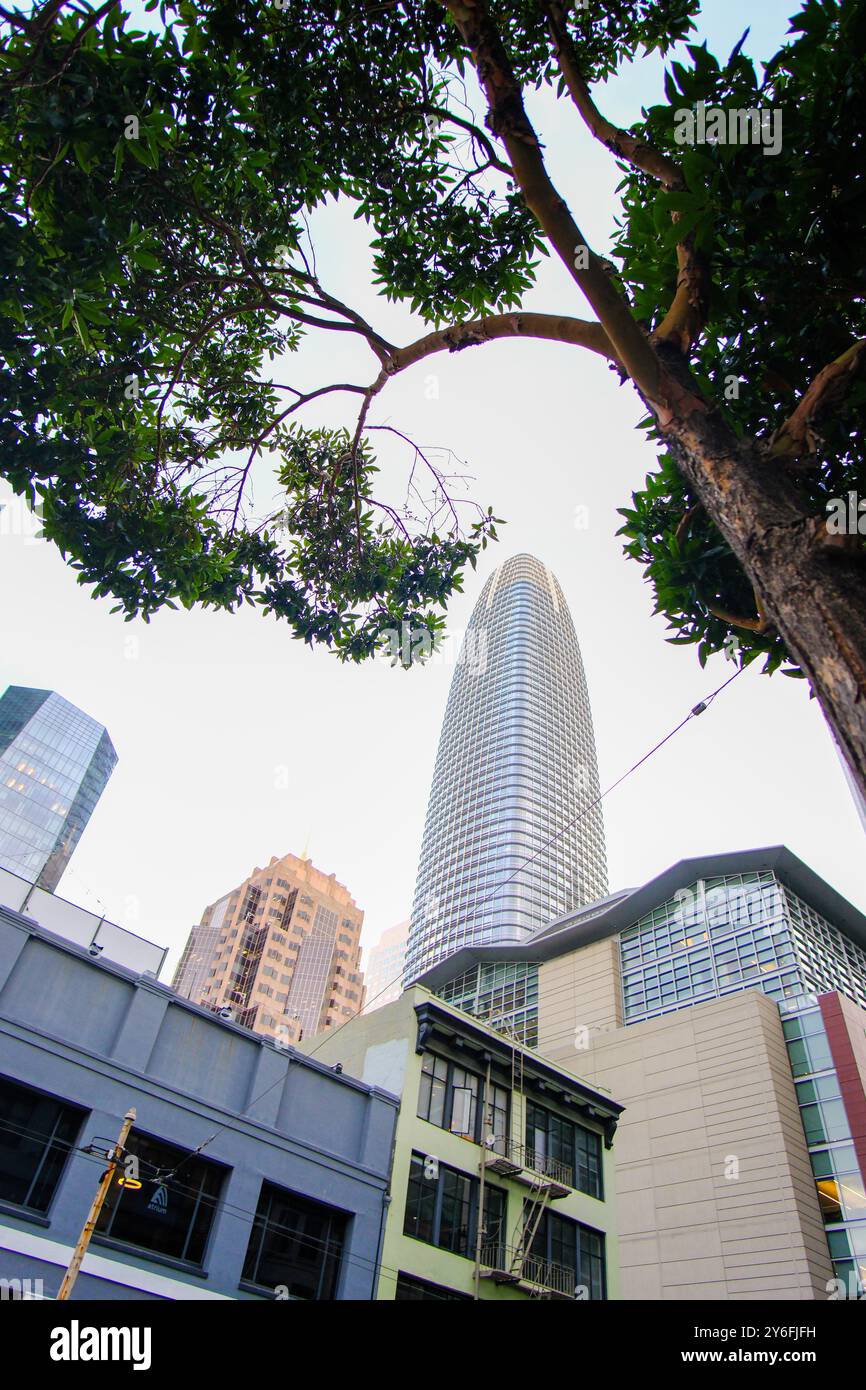 San Francisco, CA, USA - 16 September 2024 - The Salesforce Tower ...