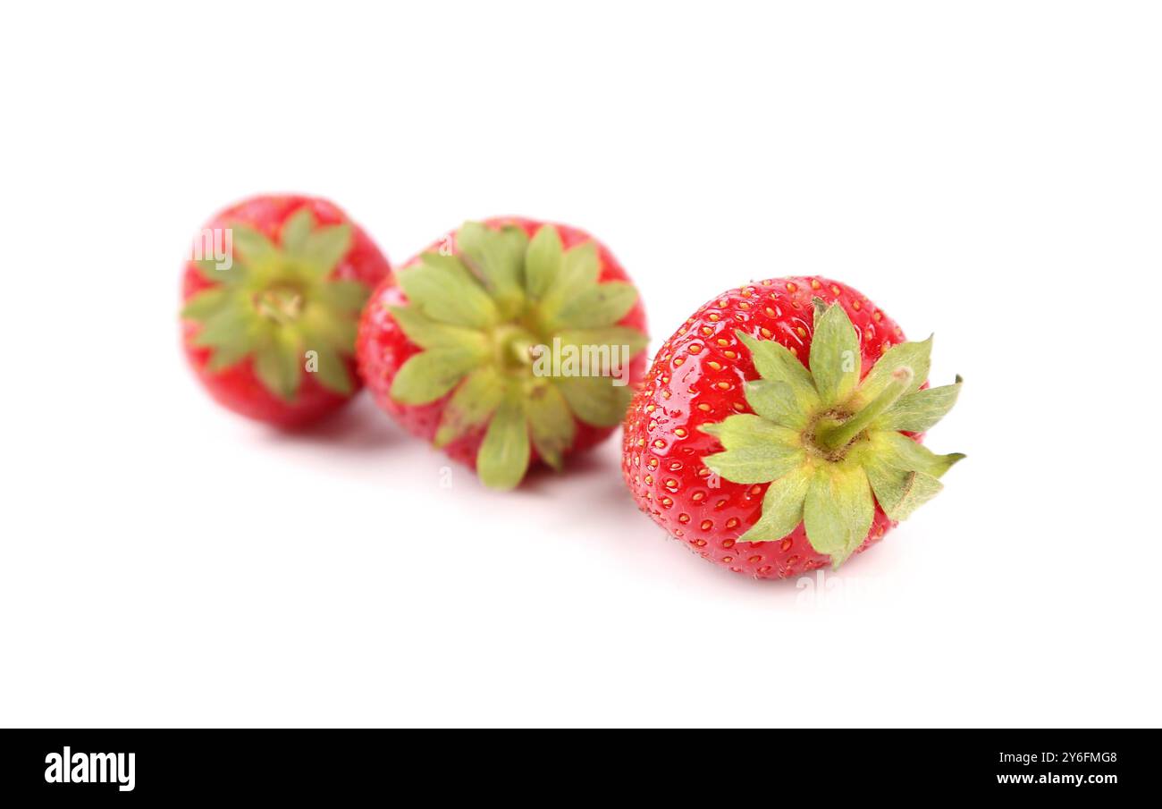 Green tails of strawberries are located in foreground Stock Photo - Alamy