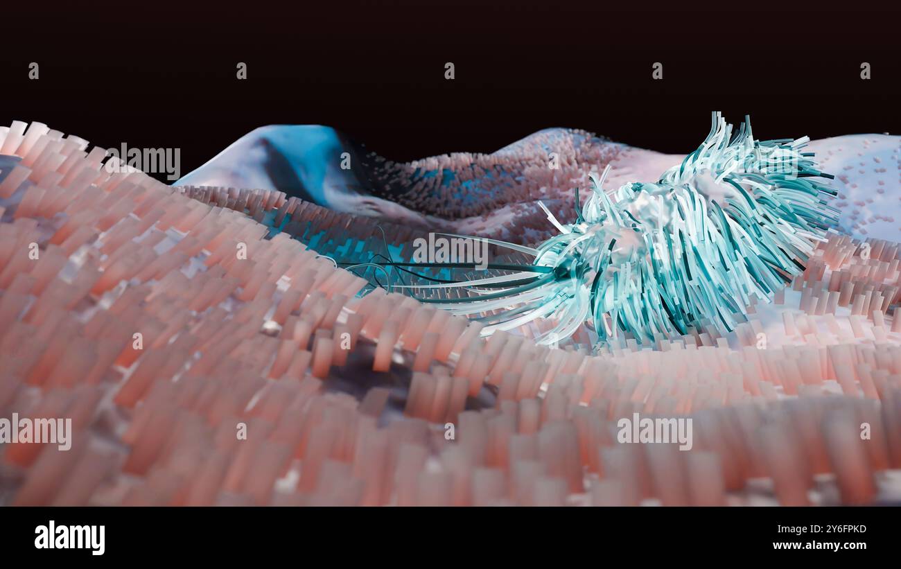 Peritrichous Bacteria with lot of flagellum, harmful bacillus with long tails, prokaryote ...