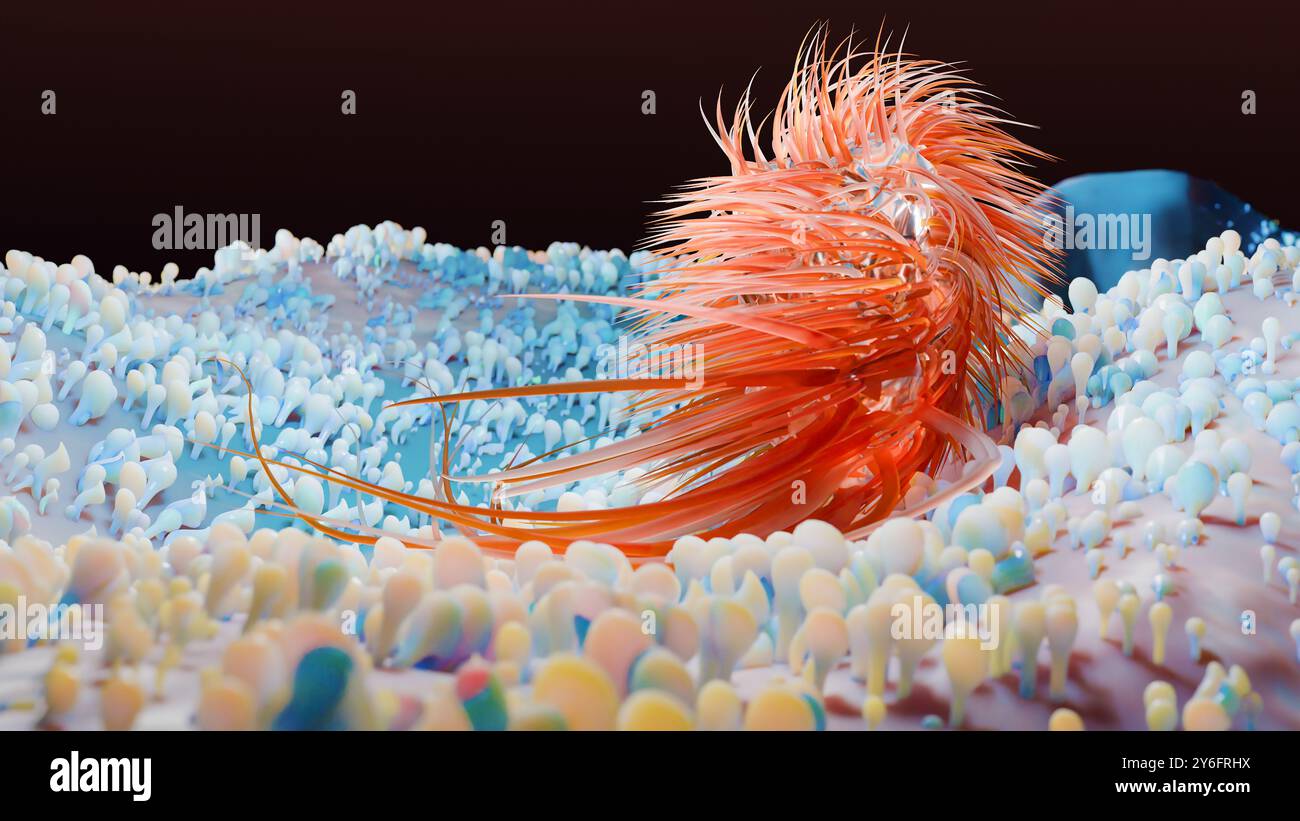 Peritrichous Bacteria with lot of flagellum, harmful bacillus with long tails, prokaryote ...