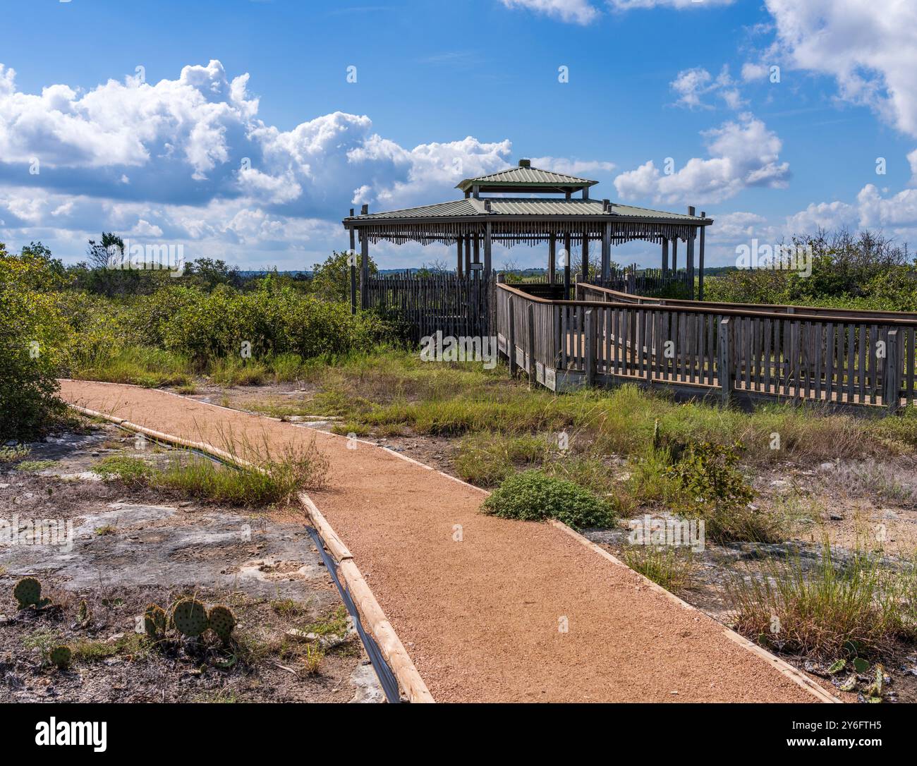 Trail into the wildlife reserve at Shin Oak observation deck in the ...