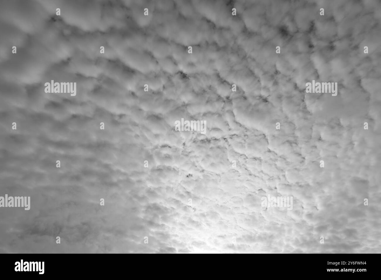 Altocumulus clouds filling the sky,Finland Stock Photo - Alamy