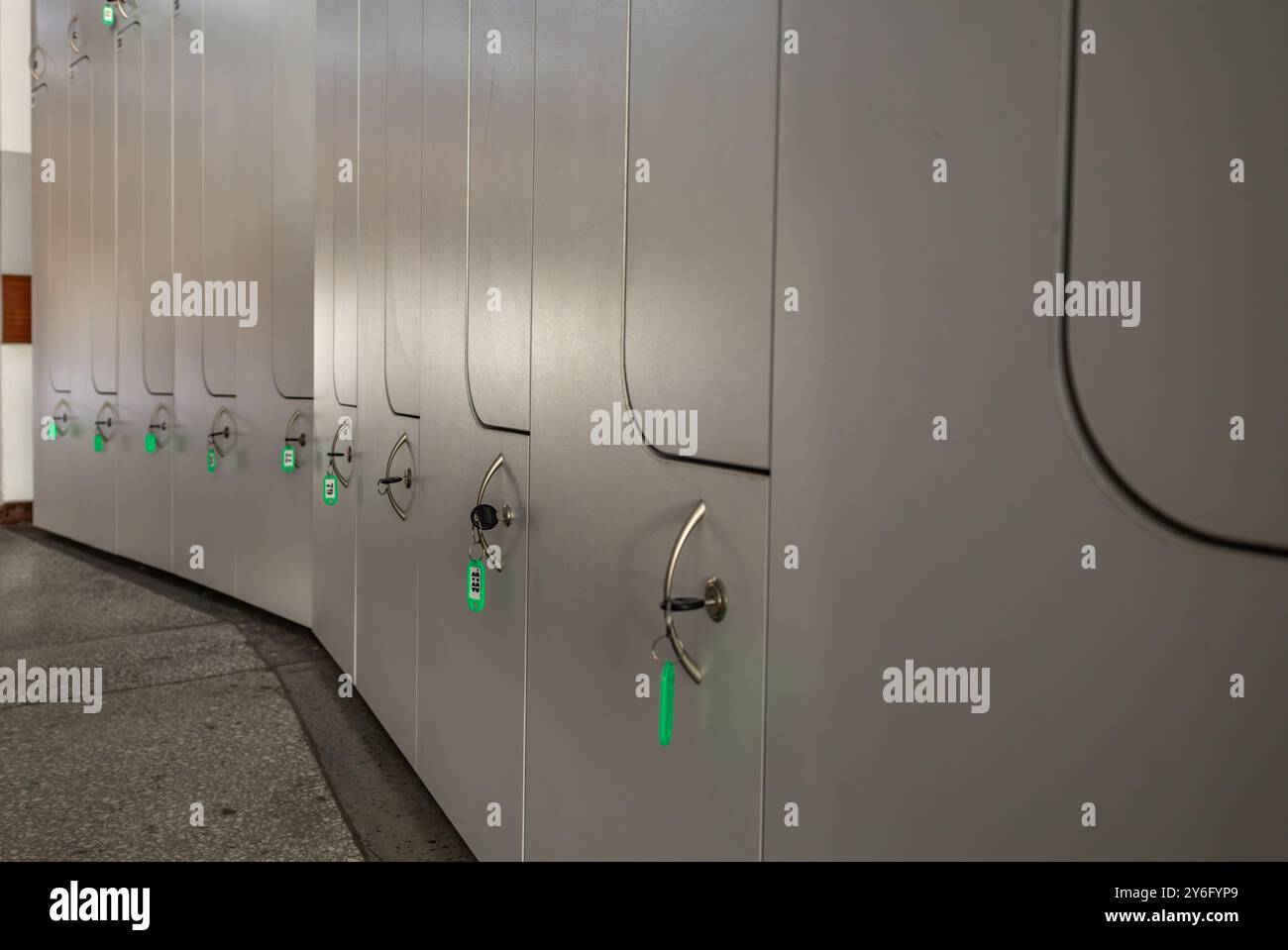 Gray lockers for clothes, lockable shelves, lockers for students at ...
