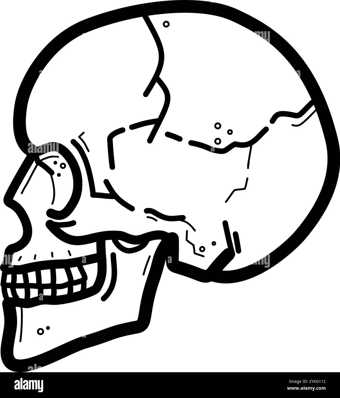 human skull, side view - vector icon Stock Vector Image & Art - Alamy