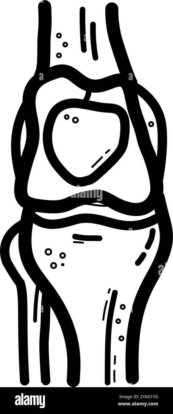 knee joint, knee, orthopedic - vector icon Stock Vector Image & Art - Alamy