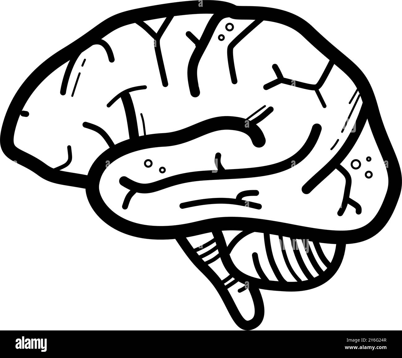 human brain, mind - vector icon Stock Vector Image & Art - Alamy